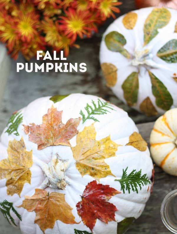 25 Modern Leaves Crafts