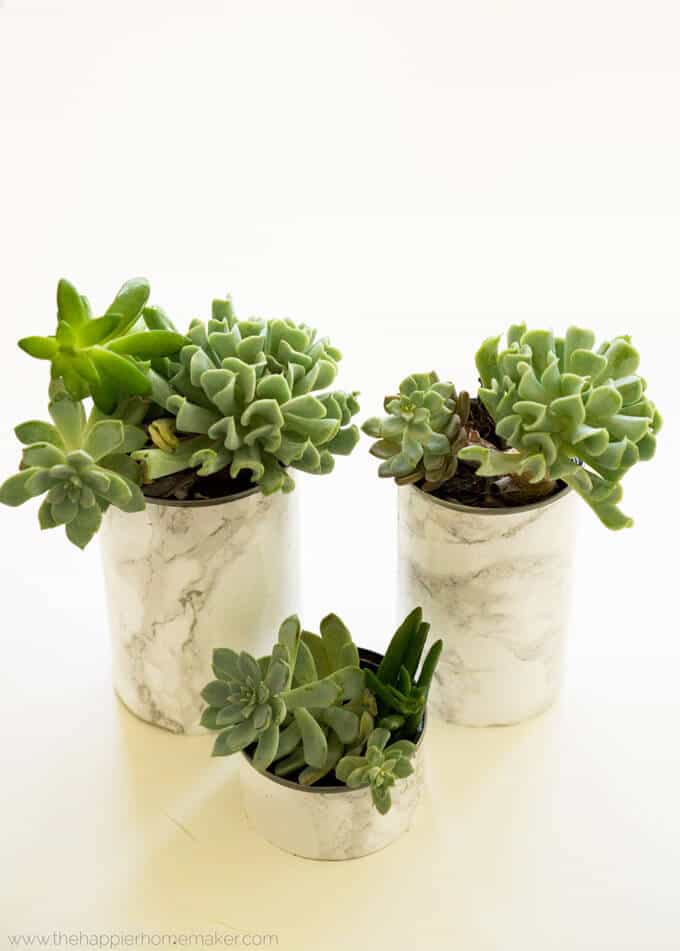 Indoor Planters {Easy DIY Planters to Make for Your Home}