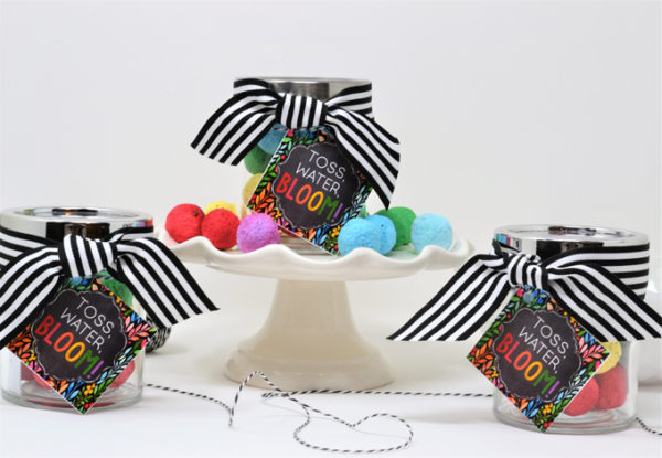 Gifts for Gardener Who Has Everything {DIY Seed Bomb Gift Idea with ...