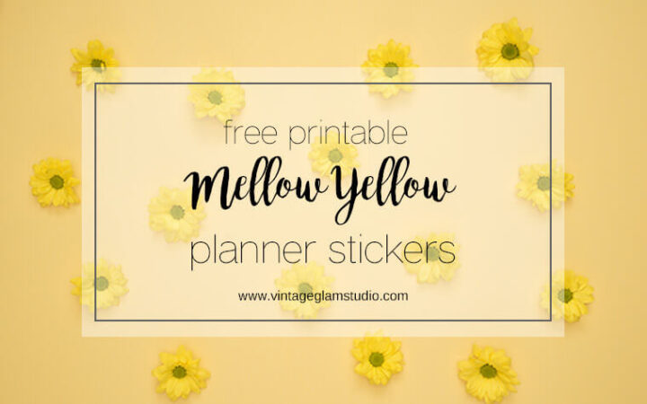 Weekly Planner Printables {Free for Your Happy Planner}