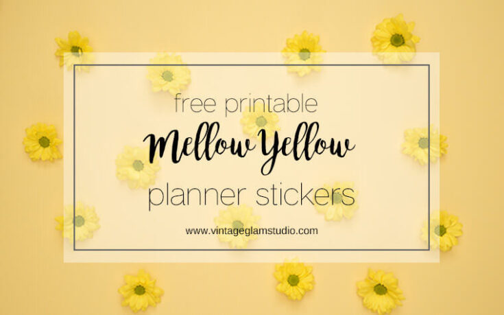 Weekly Planner Printables {Free for Your Happy Planner}