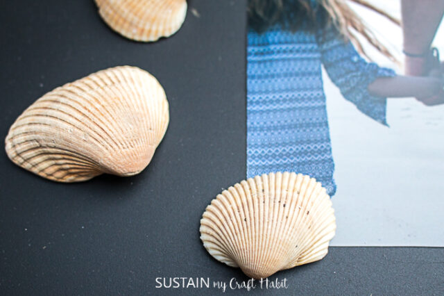 Ideas for Displaying Seashells {Clever Seashell Display Ideas}