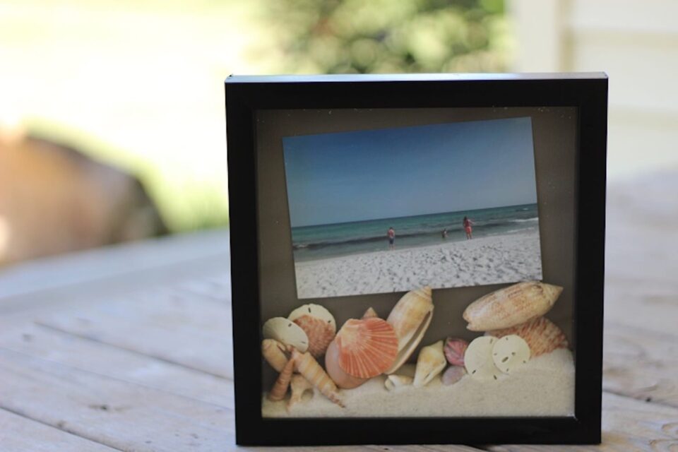Ideas for Displaying Seashells {Clever Seashell Display Ideas}